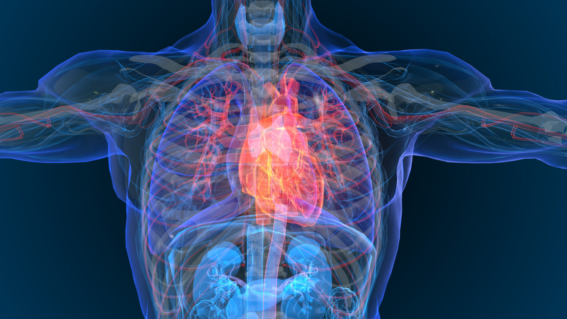 What is Cardiac Ablation and It's Risks | Pulse Cardiology